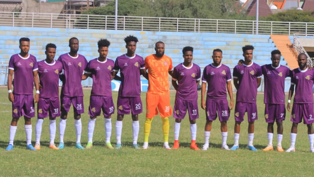 Ethiopie - Premier League : Ethiopia Nigd Bank s'impose, Welyata Dicha ...