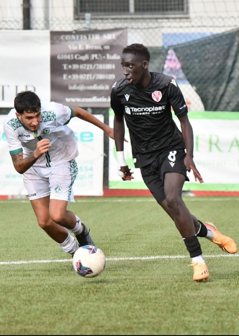 Italie - Vis Pesaro : L’option d’achat de Mohamed Thiane levée ...