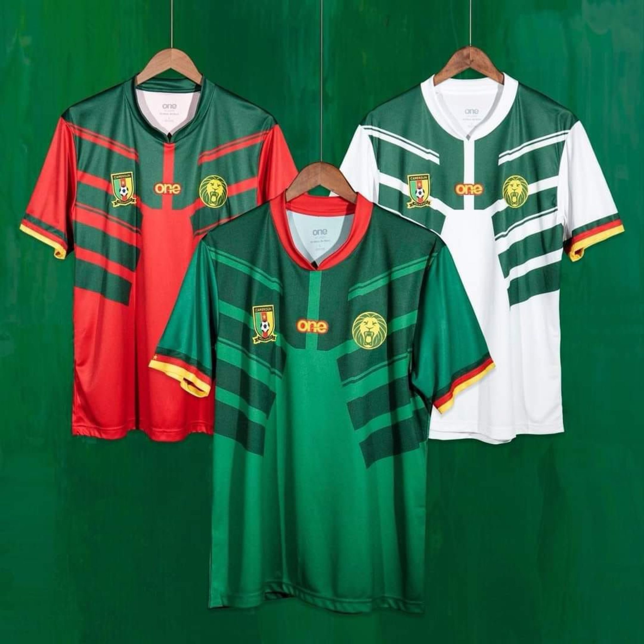 Équipe du Cameroun : Les Lions Indomptables disent adieu à One All ...