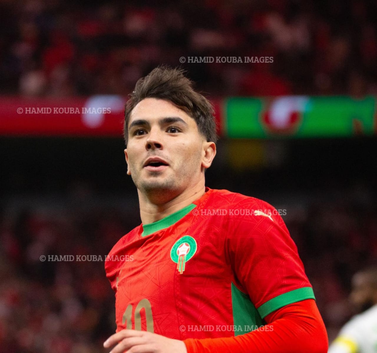 Bokep porn videos pornhub com