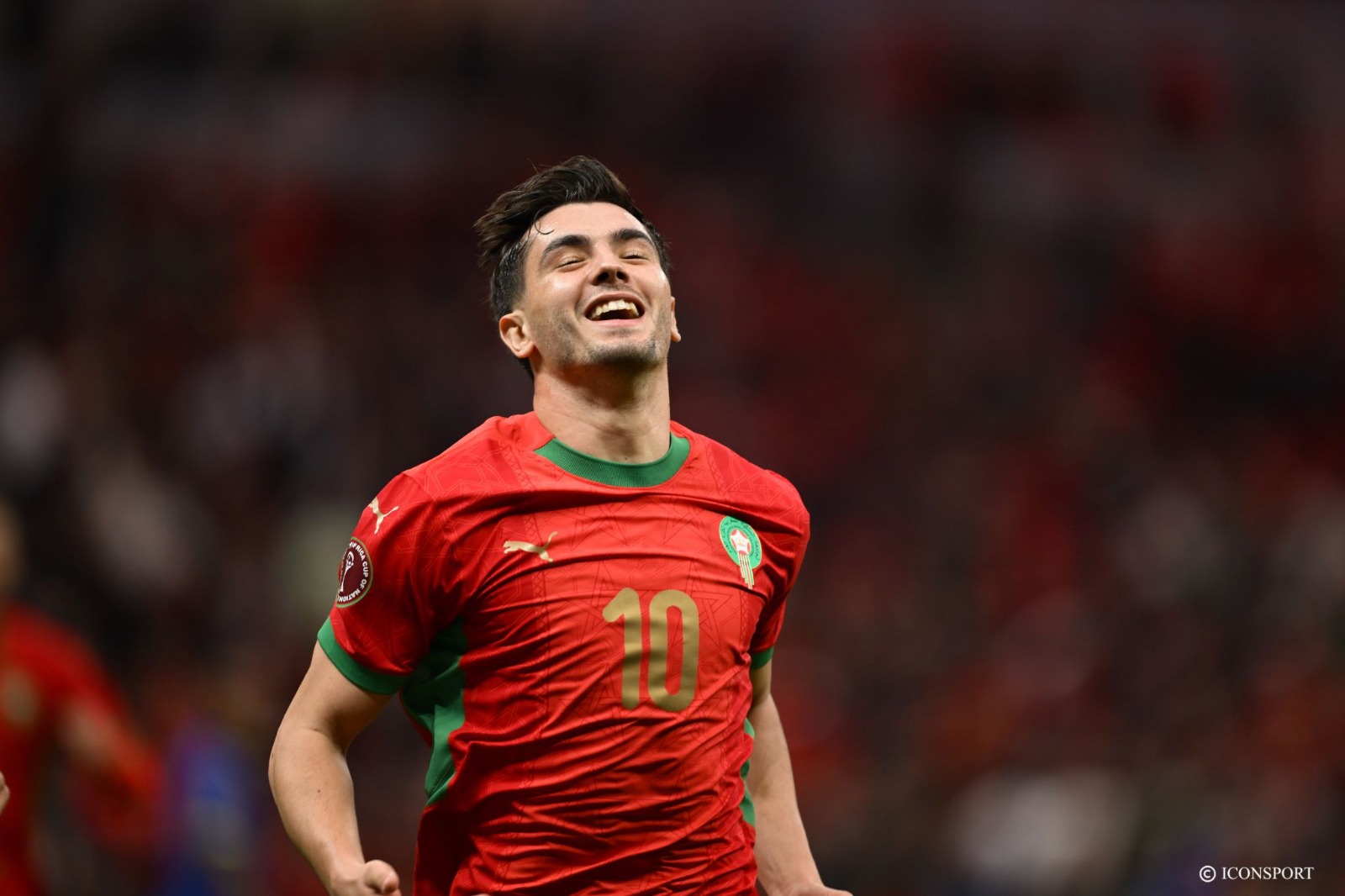 Bokep tante main sama brondong